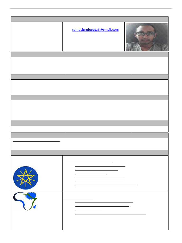 Final CV Samuale Mulugeta | PDF | Enterprise Resource Planning | Server ...