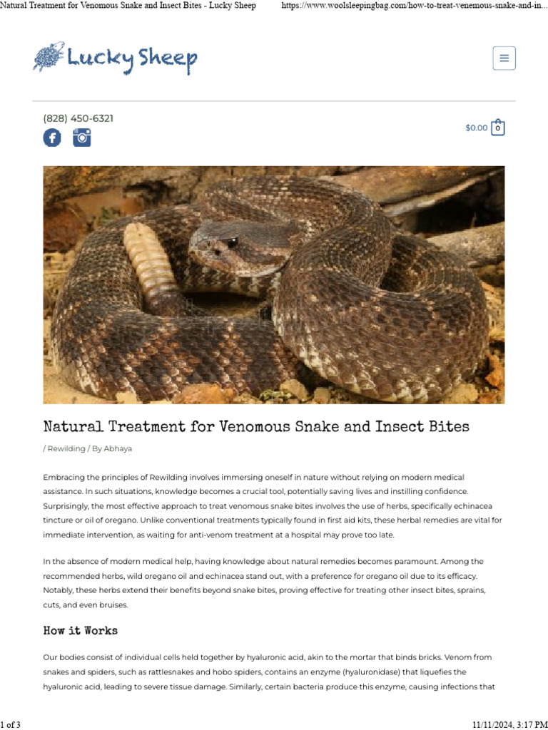 Natural Treatment For Venomous Snake and Insect Bites - Lucky Sheep ...