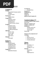 Human Skeleton All Bones Chart | PDF | Musculoskeletal System ...