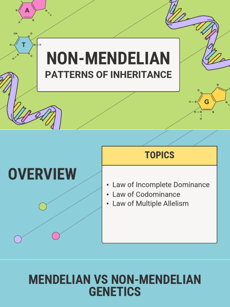 Non Mendelian Patterns of Inheritance | PDF | Dominance (Genetics) | Allele