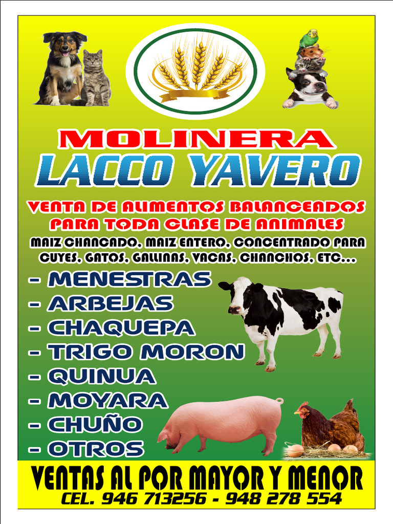 Letrero Casero 05 Final | PDF