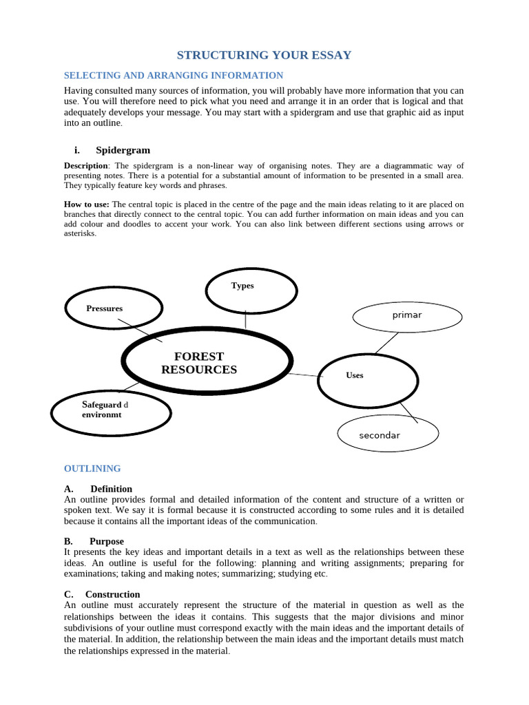 Structuring Your Essay Effectively | PDF | Information | Forests