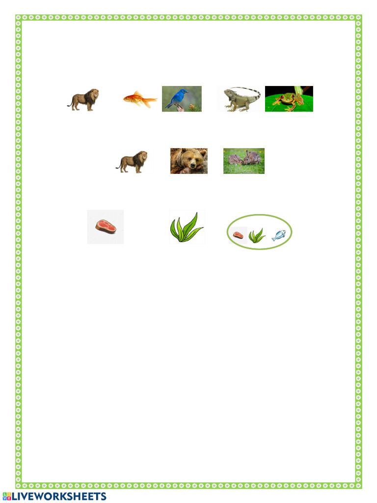 2 Primary Herbivore, Carnivore | PDF | Amphibian | Frog