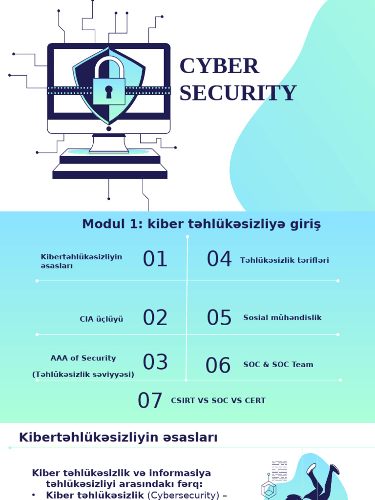 Cybersecurity Lesson 1 | PDF