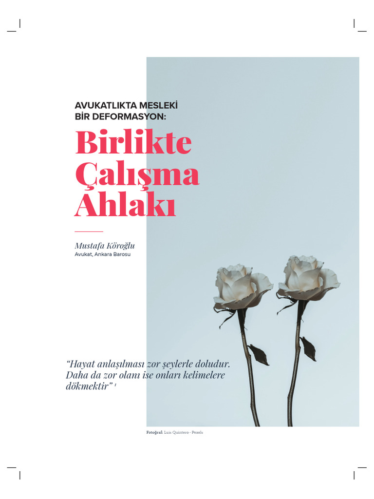 Makale 2 | PDF