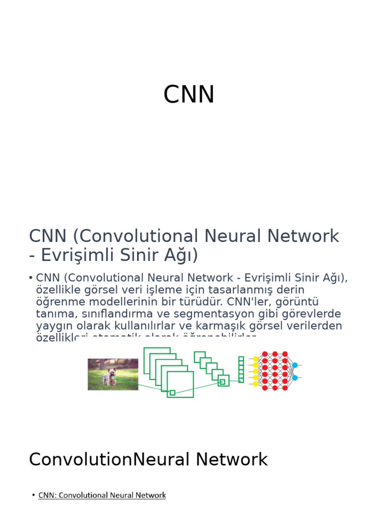 CNN | PDF