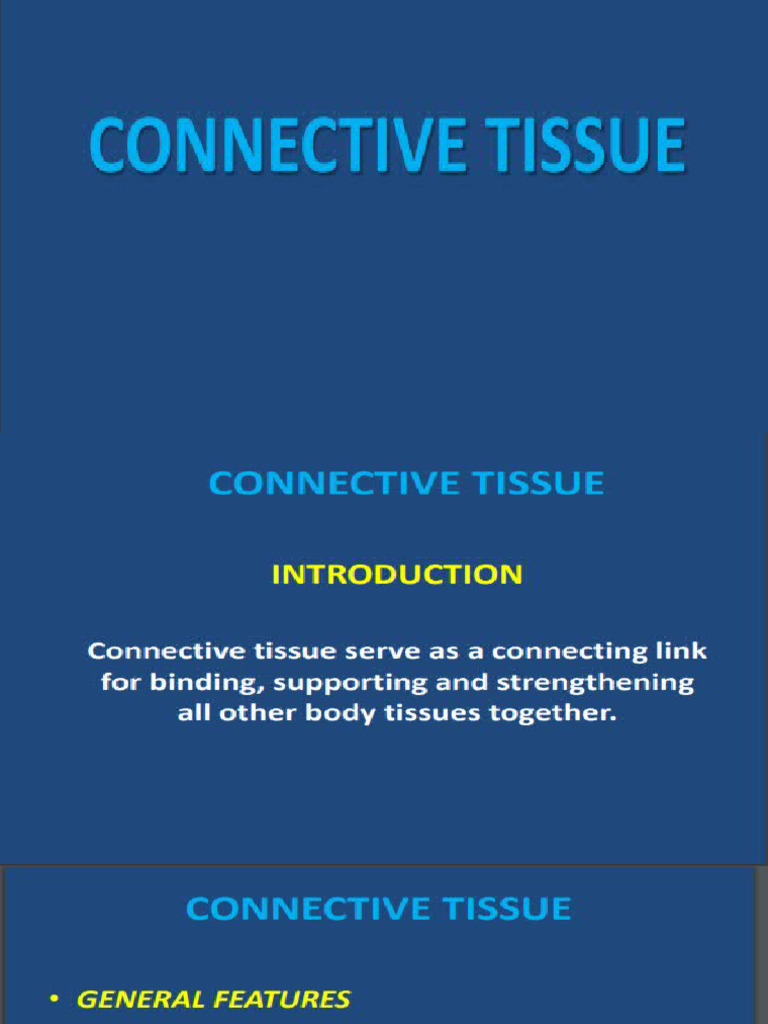 Connective Tissue 20 TH Batch | PDF