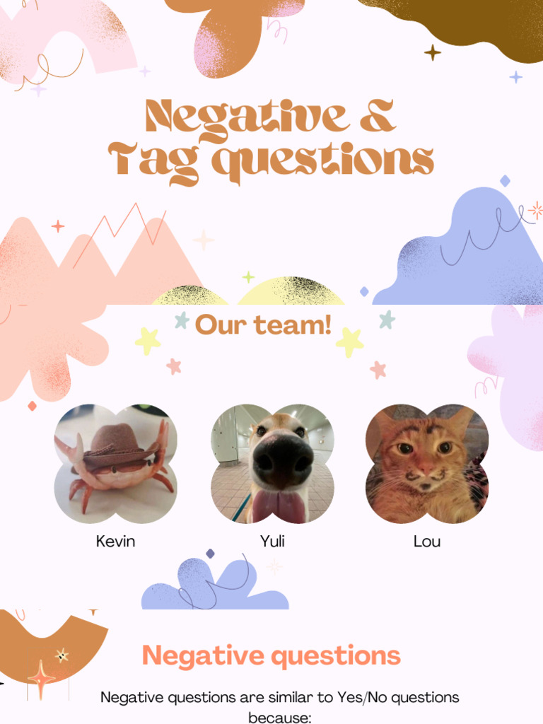 Negative and Tag Questions Explained | PDF | Question | Verb