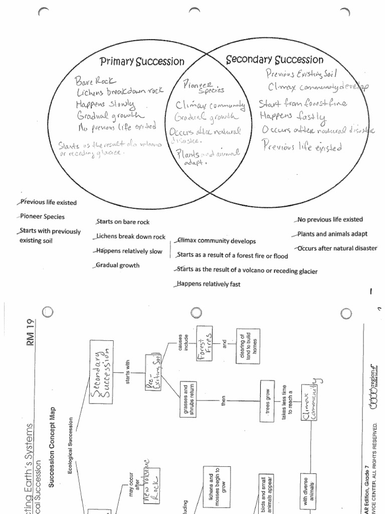Succession Venn Diagram Key | PDF