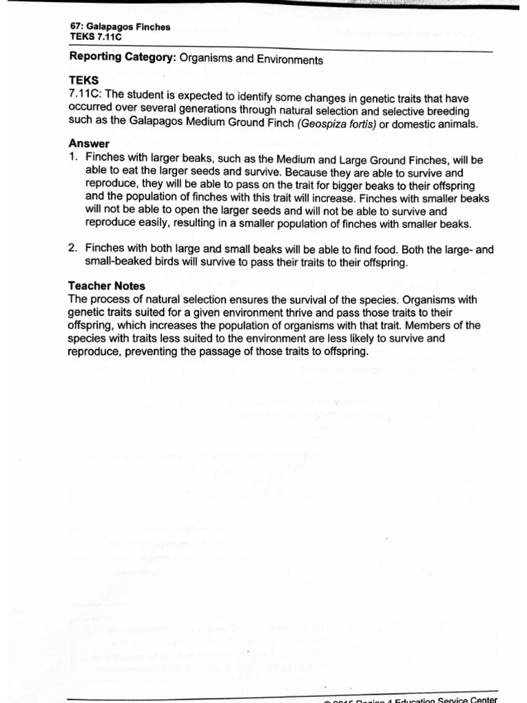 Warm Up Changes in Traits - KEY | PDF