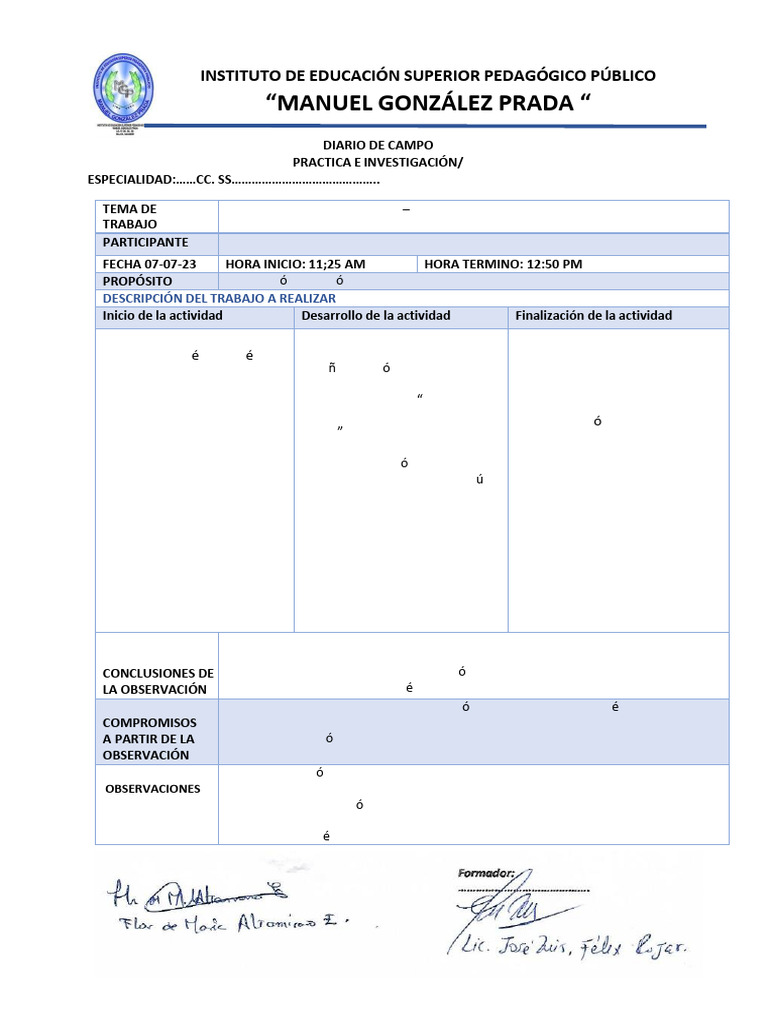 Diario de Campo Nilda Mendoza Vigo | PDF | Maestros | Aprendizaje