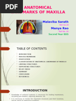 Anatomical Landmarks of Maxilla | PDF | Dentures | Tooth
