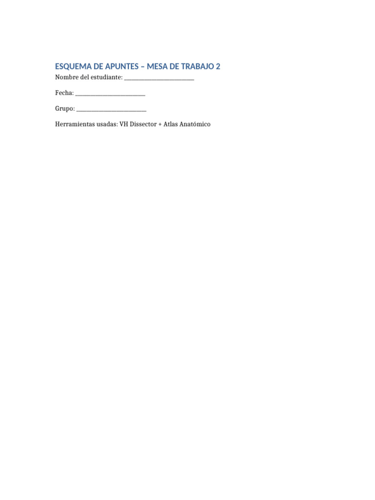Anatomía y Funciones de Músculos Específicos | PDF | Anatomía del ...