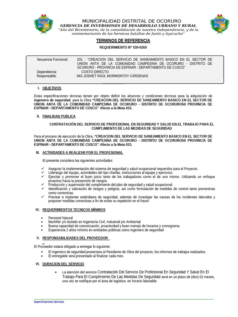 TDR Ing. Seguridad | PDF | Seguridad y salud ocupacional