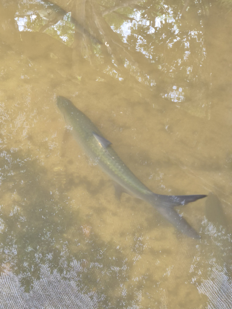 Gallery 20250628 144455 250628 144500 | PDF