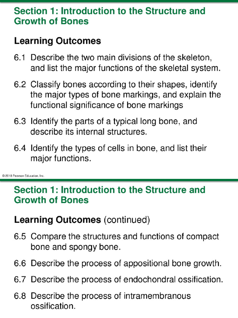 Bone and Skeletal System | PDF