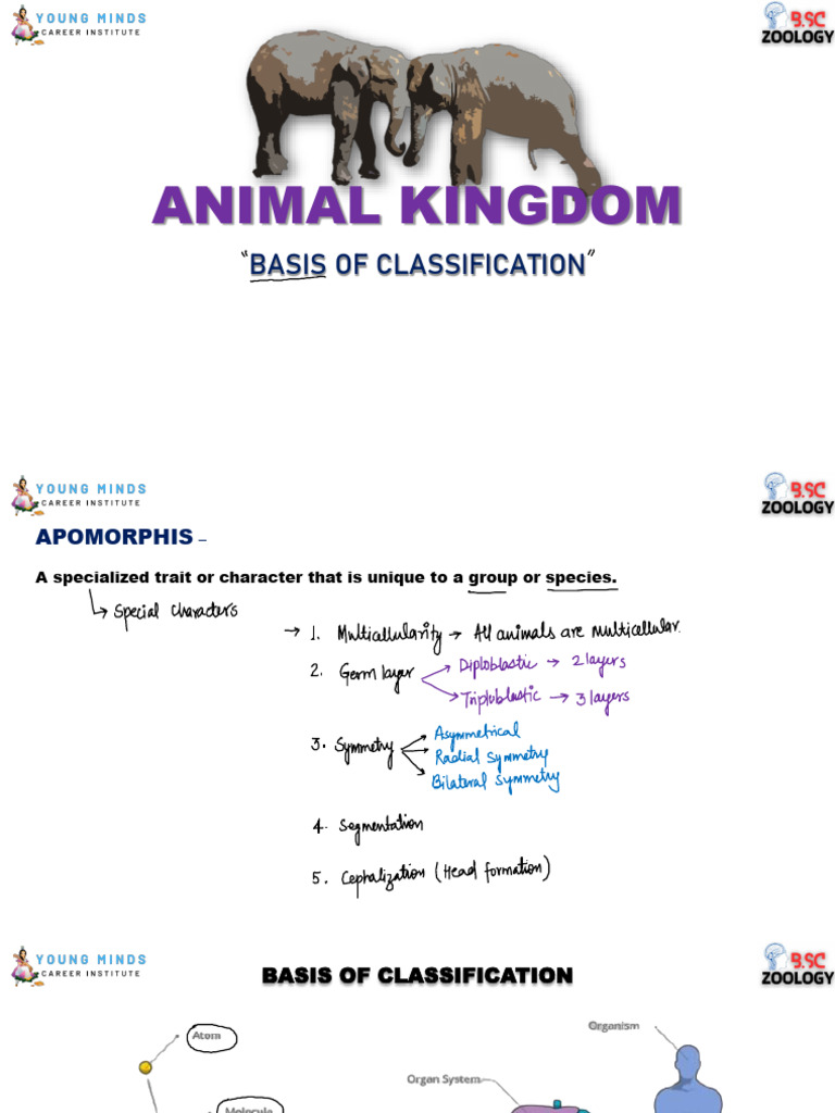 Animal Kingdom (Basis of Classification) | PDF