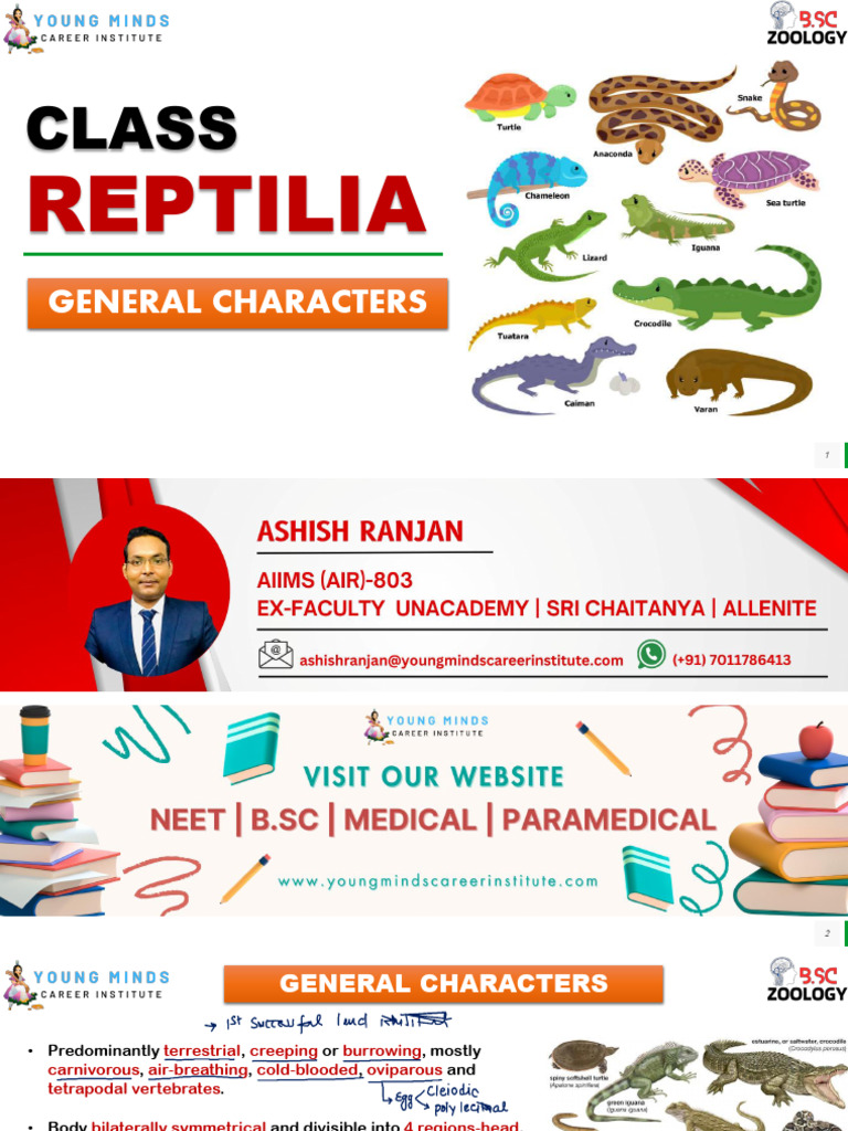 Class Reptilia | PDF