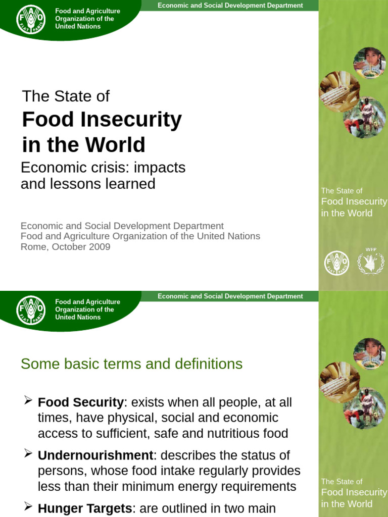 Global Food Insecurity Report 2009 | PDF | Food Security | Hunger