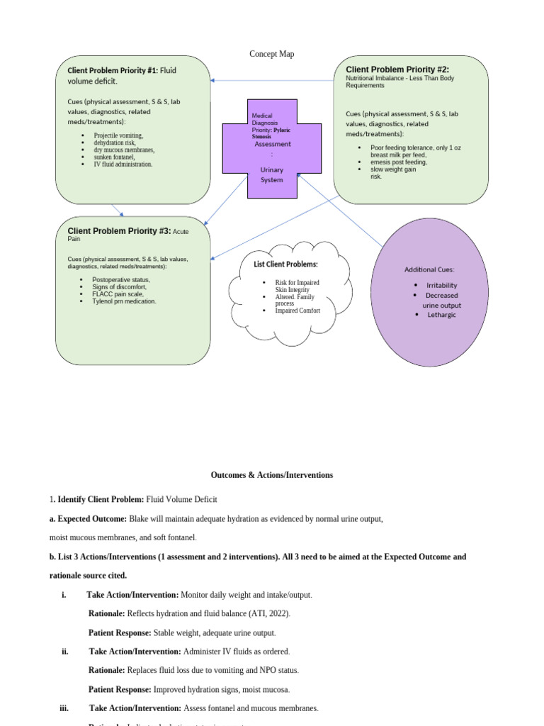 Clinical Judgement Model Concept Map Template | PDF | Dehydration | Pain