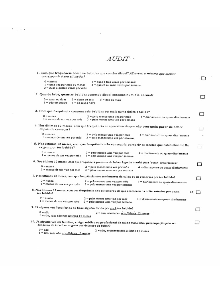 Audit | PDF