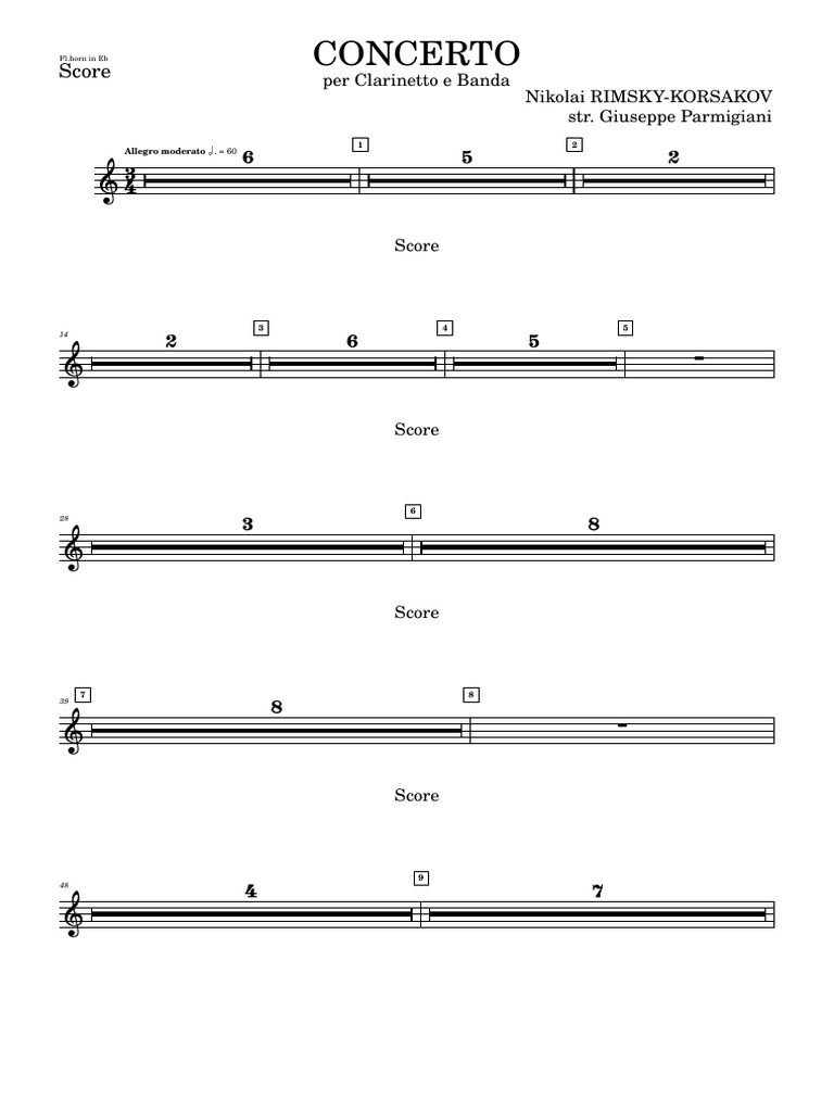 5d95bc25297f1017cc918075ddadb | PDF | Concerto | Musical Compositions