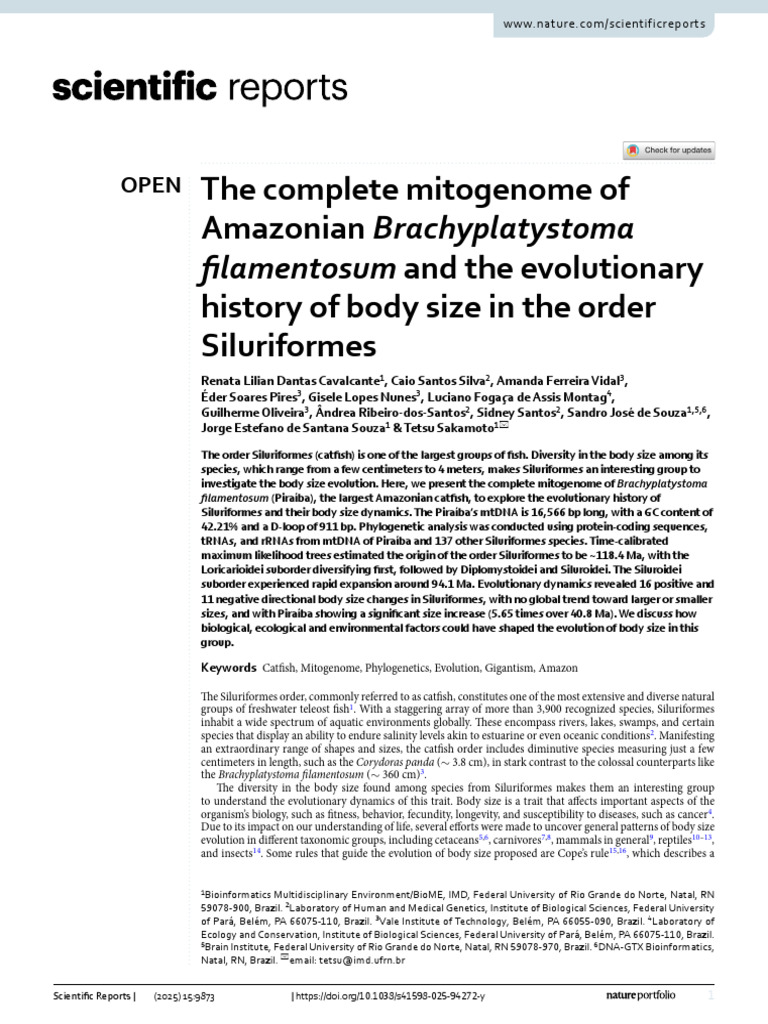 The Complete Mitogenome of Amazonian Brachyplatystoma and The ...