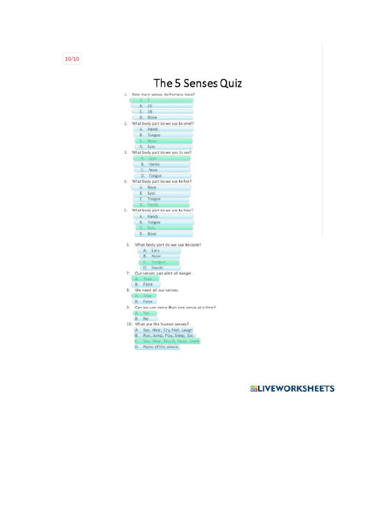 Five Senses Social Studies | PDF