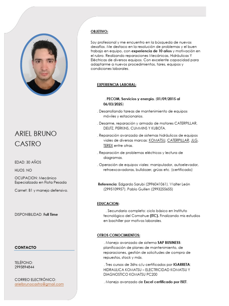 Curriculum Vitae - Ariel Bruno Castro-1 | PDF