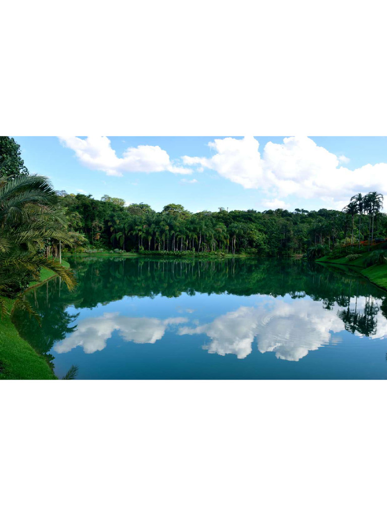 Ficha de Estudos 1 - Rotated | PDF