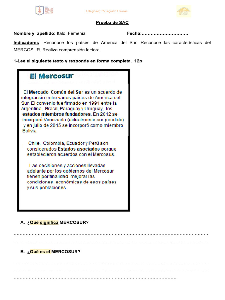 Conociendo el MERCOSUR en América del Sur | PDF