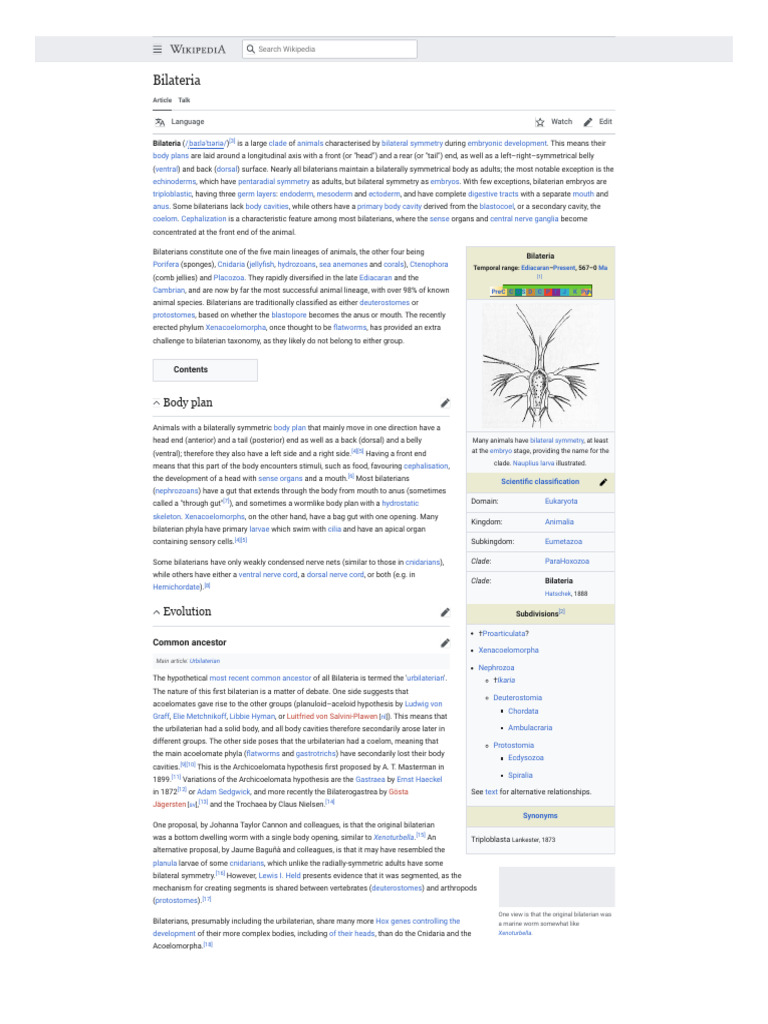 Overview of Bilateria Clade | PDF