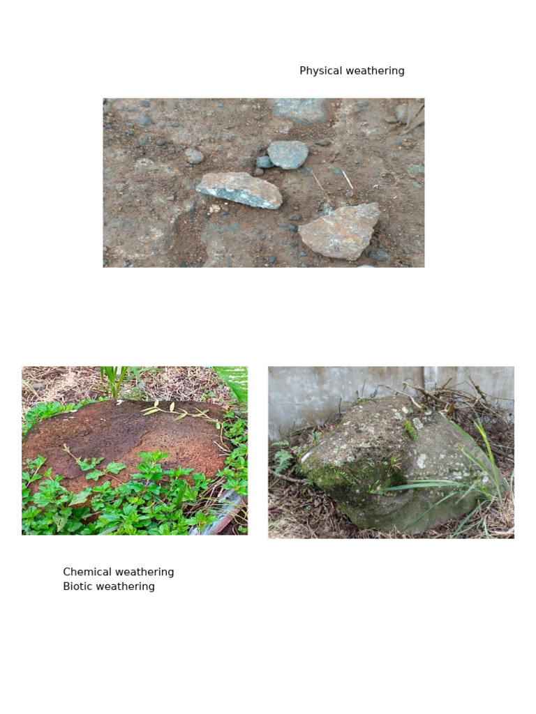 Physical Weathering | PDF