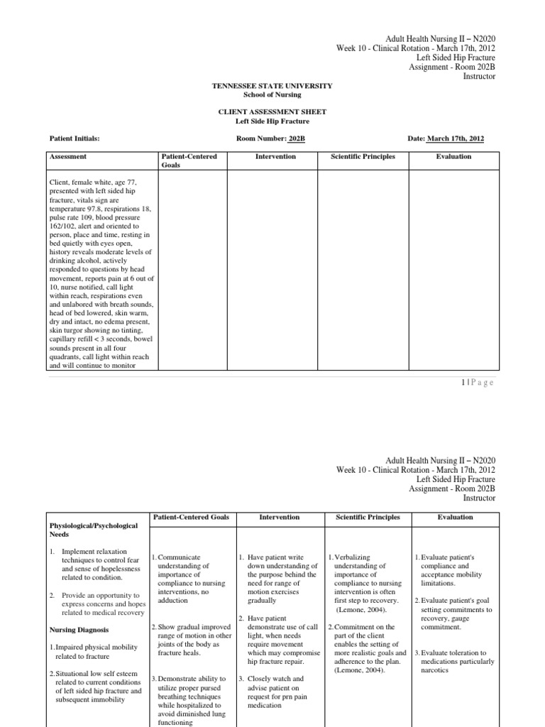 Week Ten - Clinical Care Plan - Left Side Hip Fracture | Nursing ...
