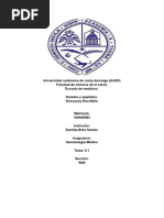 Prospecto NIFURYL | PDF | Infección del tracto urinario ...