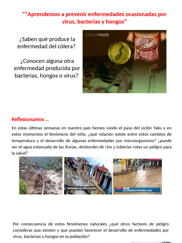 Exp1 Act8 CT 1° | PDF | Cólera | Diarrea