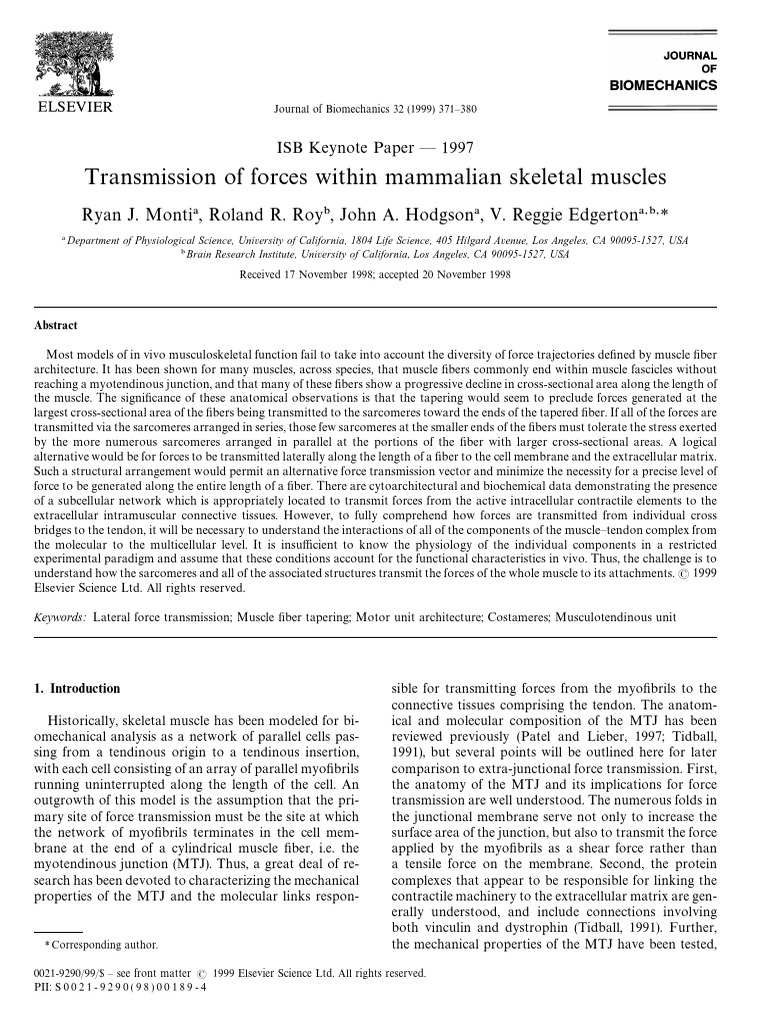 Force Transmission in Skeletal Muscle | PDF | Skeletal Muscle | Extracellular Matrix