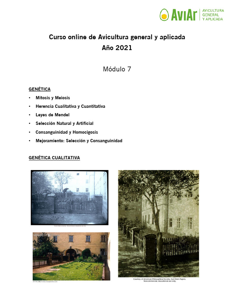 Apunte Módulo 7 Curso AviAr Genetica - Herencia - Razas | PDF | Dominancia (Genética ...