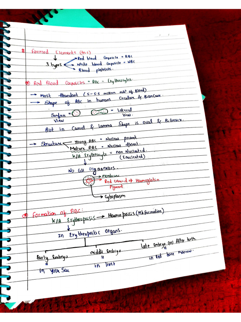 PDFReader 20250629 0808 | PDF