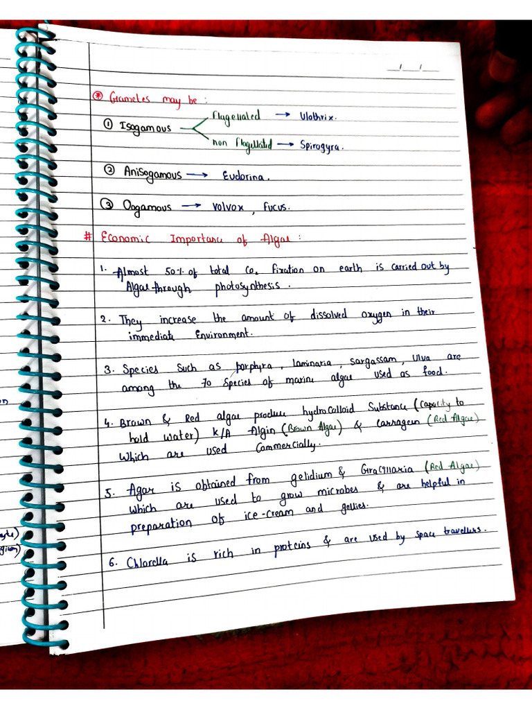 PDFReader 20250629 0816 | PDF