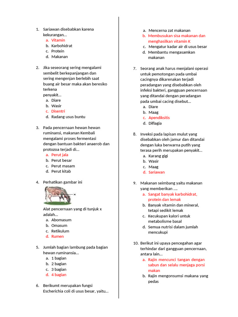 Soal Pts Biologi Kelas Xi. | PDF