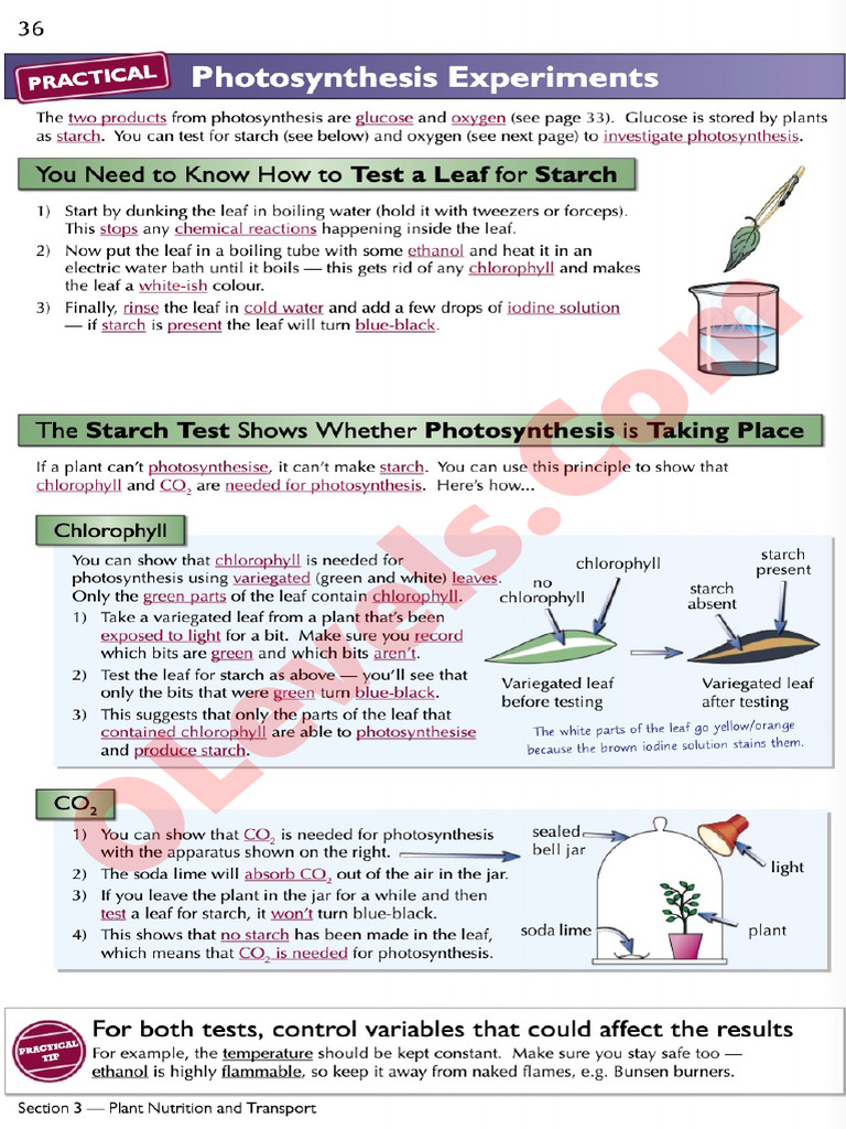 4474a1de Revision Notes 3 Plant Nutrition and Transportp4andp5 | PDF