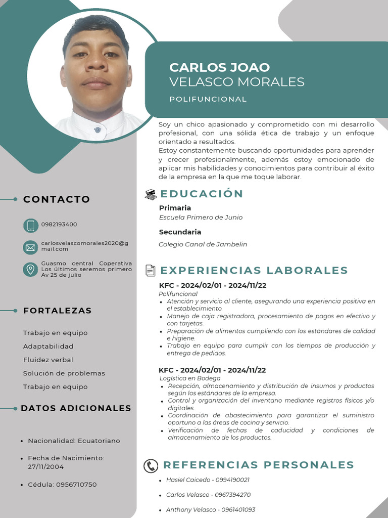CV de Carlos Velasco Morales 2024 | PDF | Business | Logística