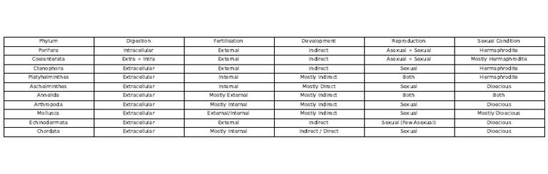 Animal Phyla Comparison Table | PDF