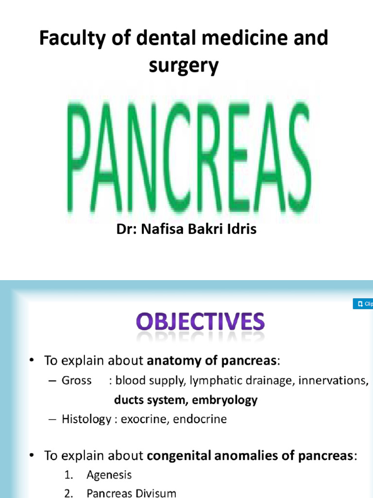 Pancreas | PDF