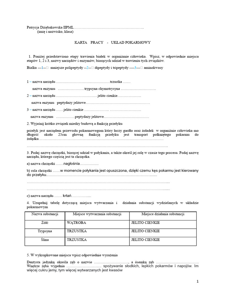 Karta Pracy - Układ Pokarmowy | PDF