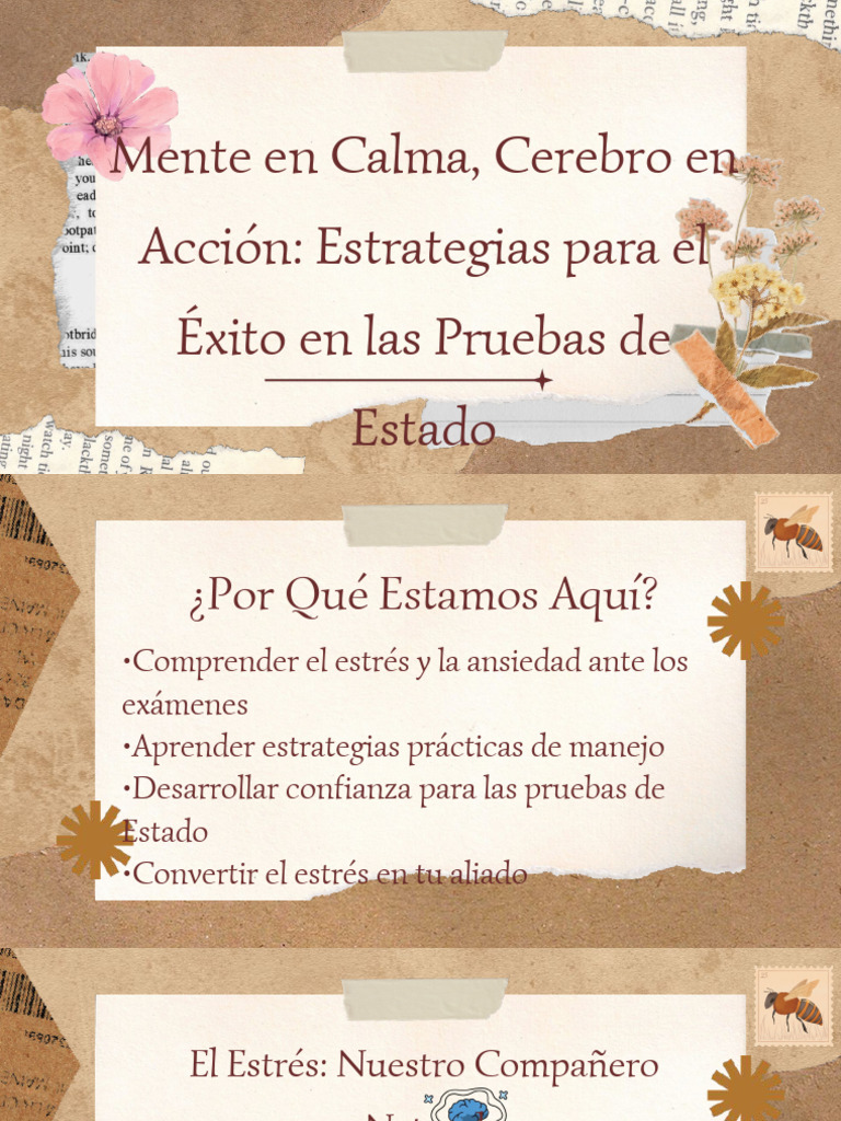 Mente en Calma, Cerebro en Acción Estrategias para El Éxito en Las ...