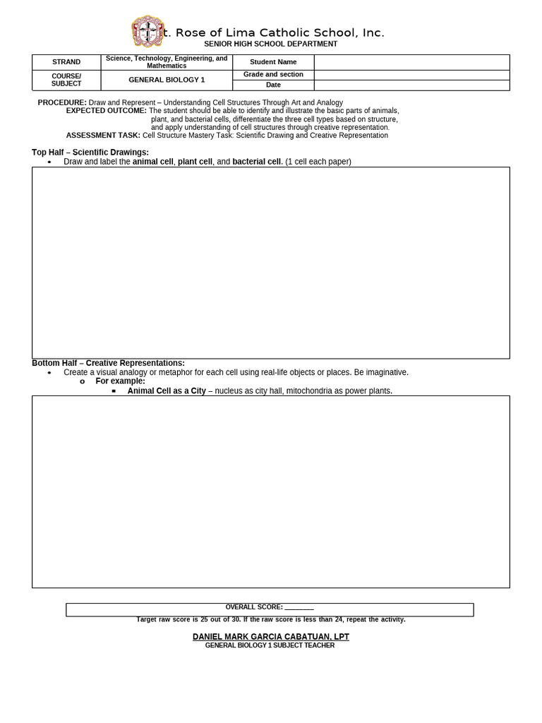 Creative Cell Structure Representations | PDF
