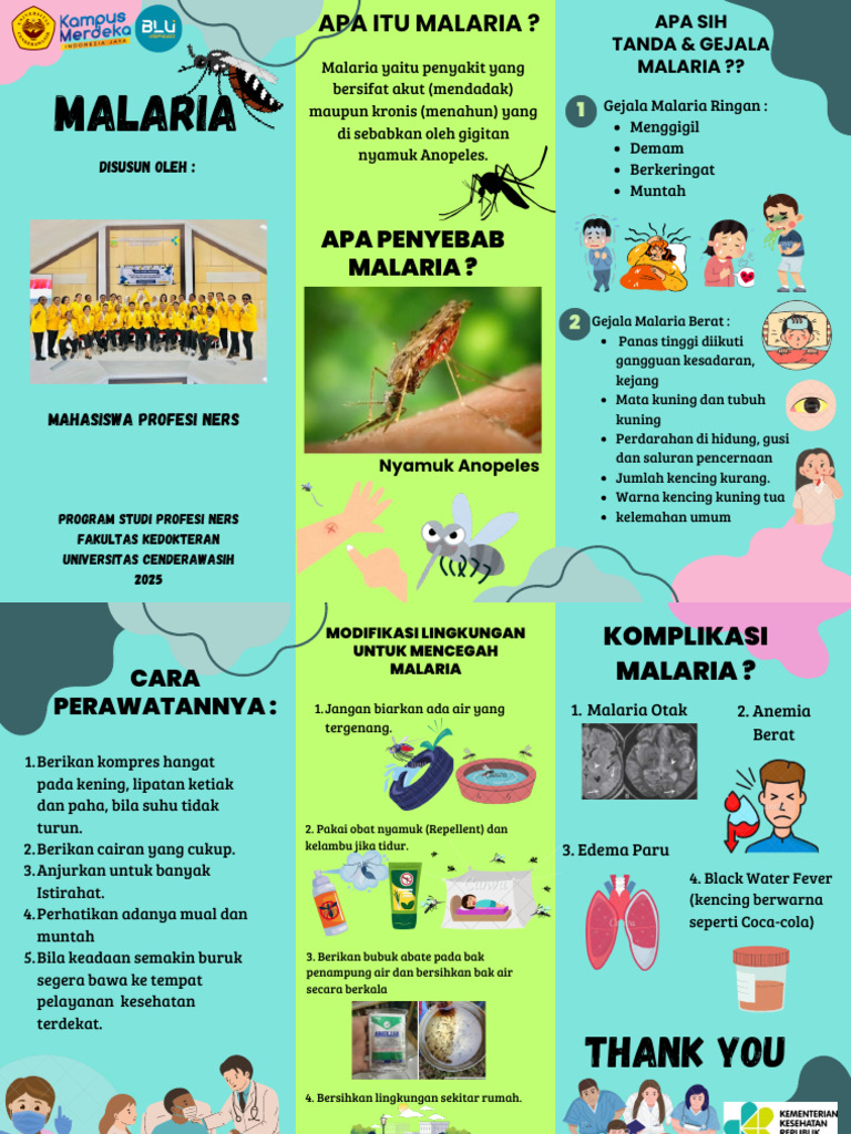 Leaflet Malaria | PDF