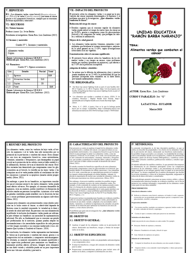 Tema 5 Karen Rios Luis Zambrano 3ro G 1,2 | PDF | Alimentos | Dieta